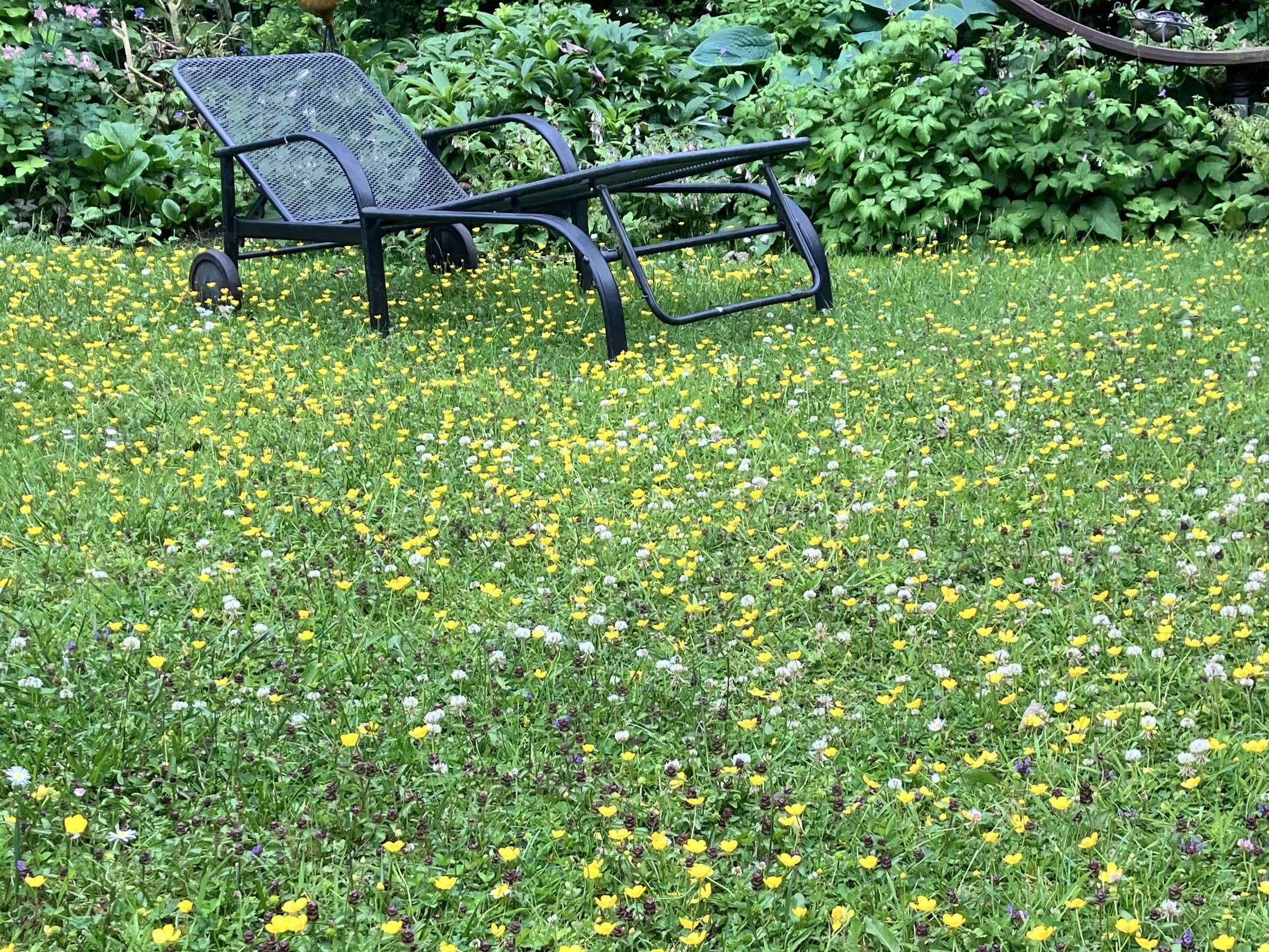 Rasen Zum Sprhen